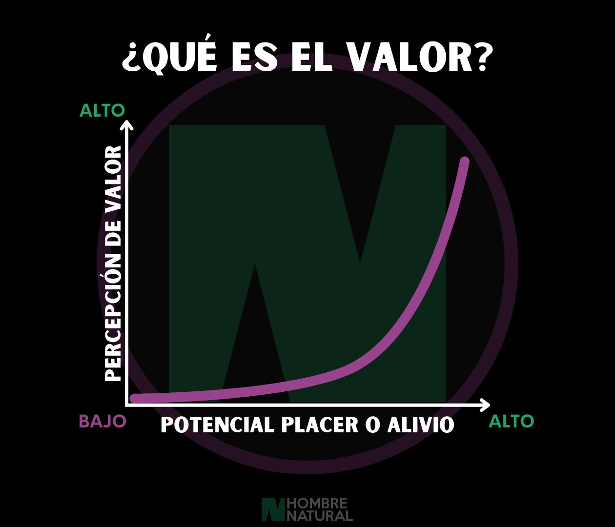 ¿Qué es el Valor en Sí y por qué es IMPORTANTE Entenderlo? | Hombre Natural